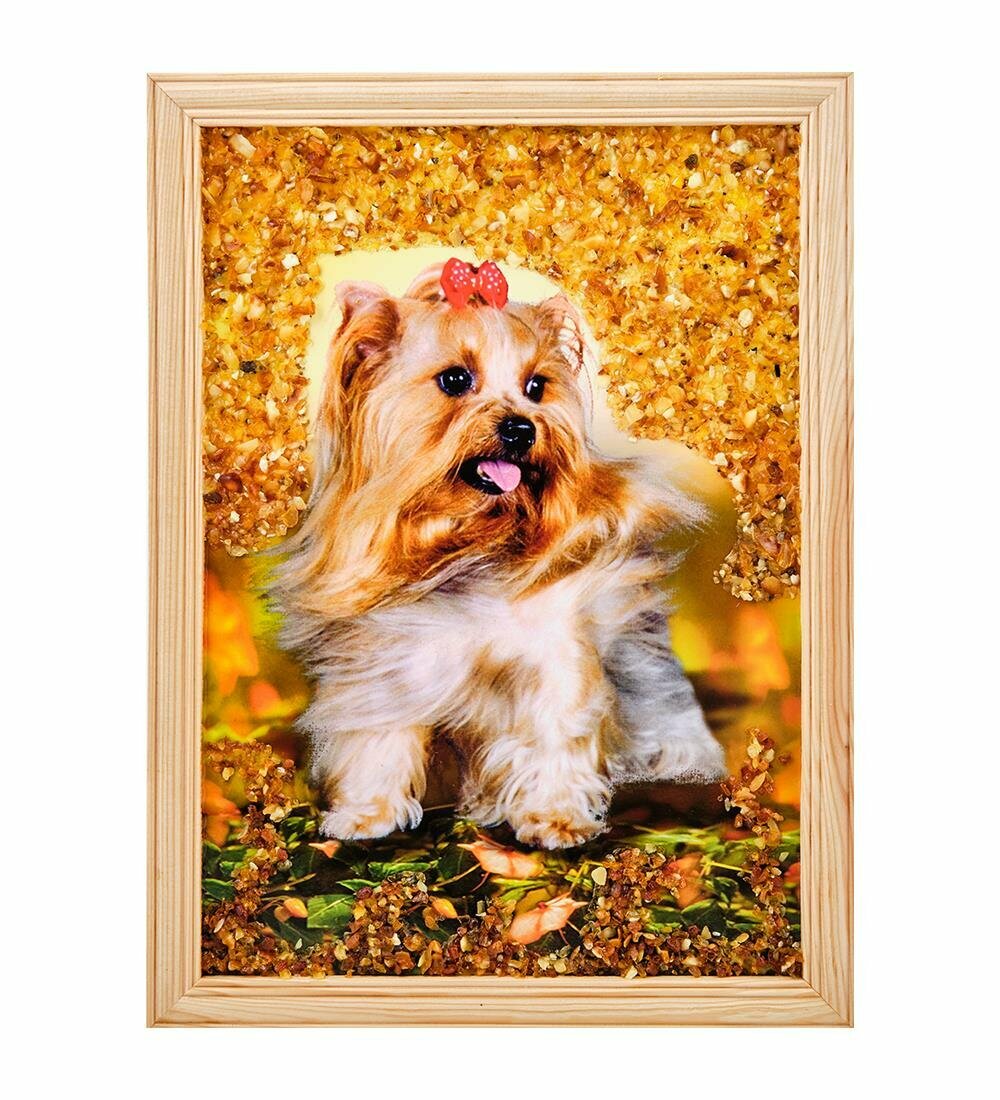 Картина Красавчик Йорк (янтарная крошка)