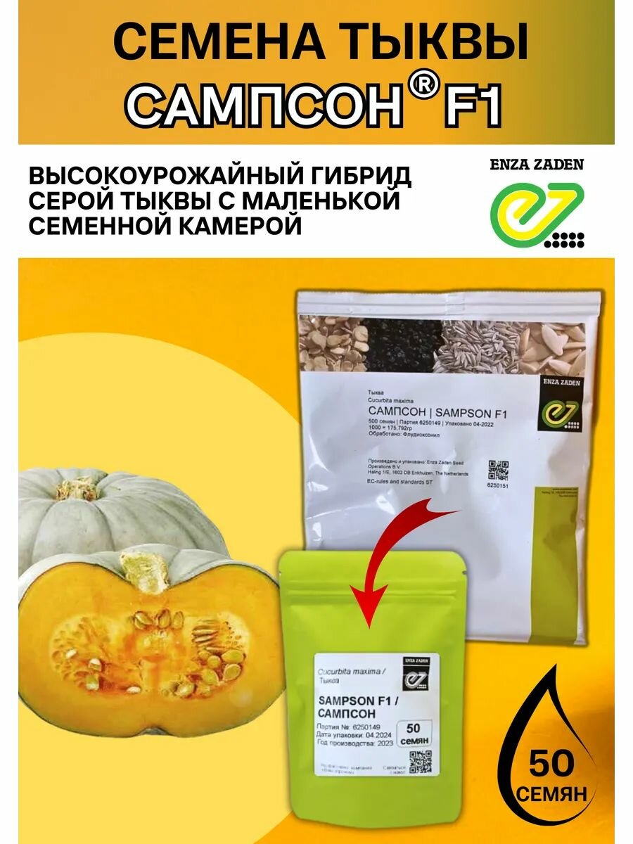 Тыква Сампсон F1 50 семян Enza Zaden, профессиональные семена