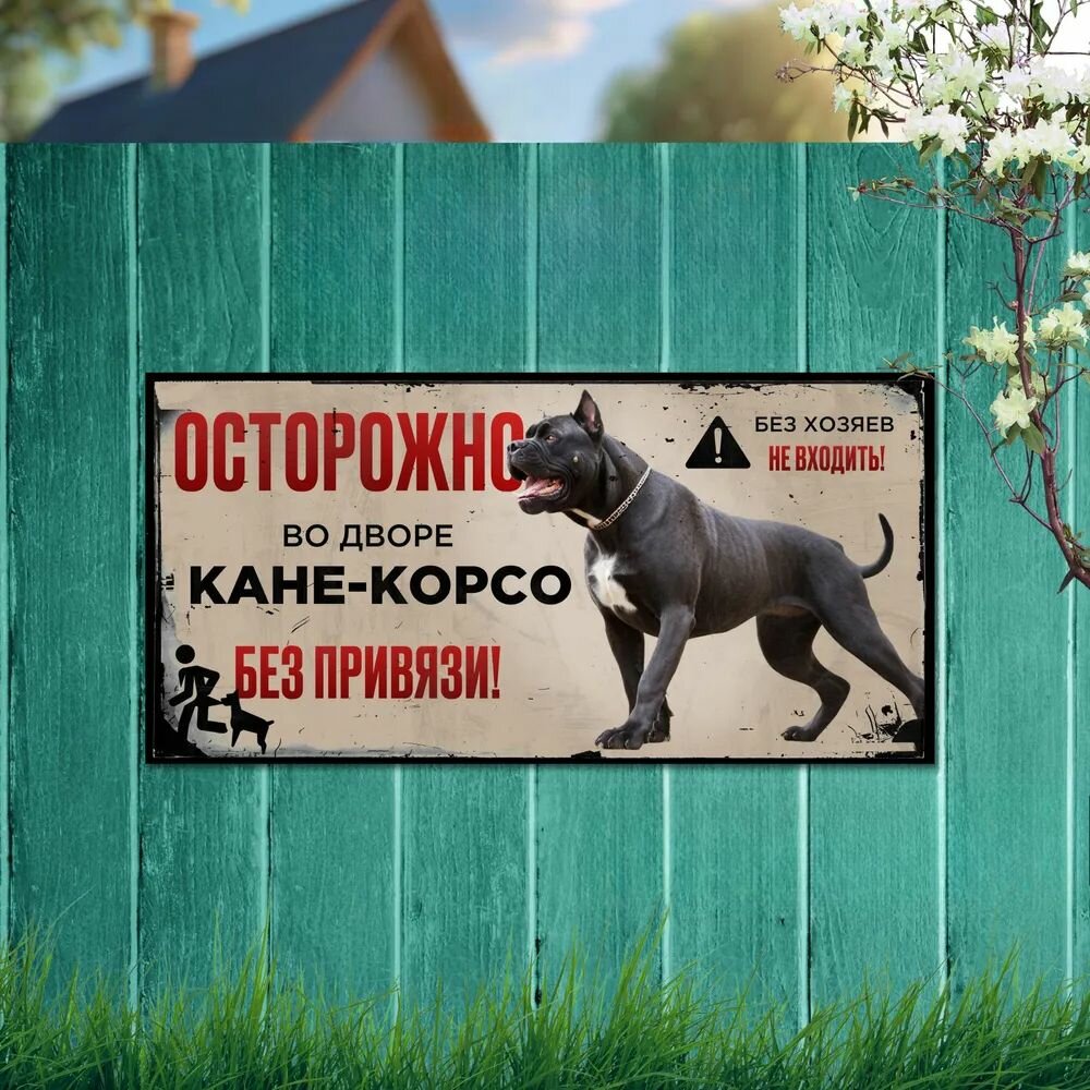 Табличка "Осторожно во дворе злая собака Кане-Корсо", 30х20 см.