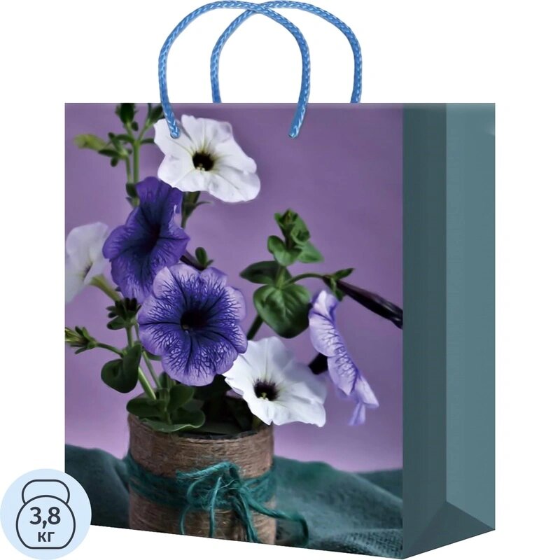 Пакет подарочный с глянц ламин 26,4x32,7x8 см (L) Петуния, 128 г ППК-4455