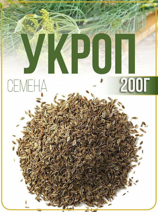 Укроп семена пищевые, пряность, для отваров, настоев 200 г.
