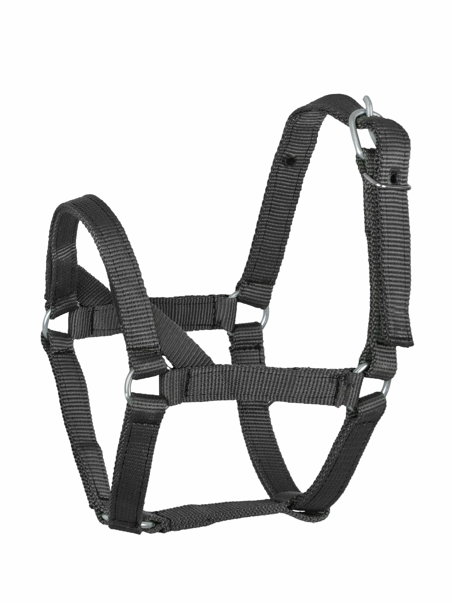 Недоуздок для жеребят двойной капрон 20 мм