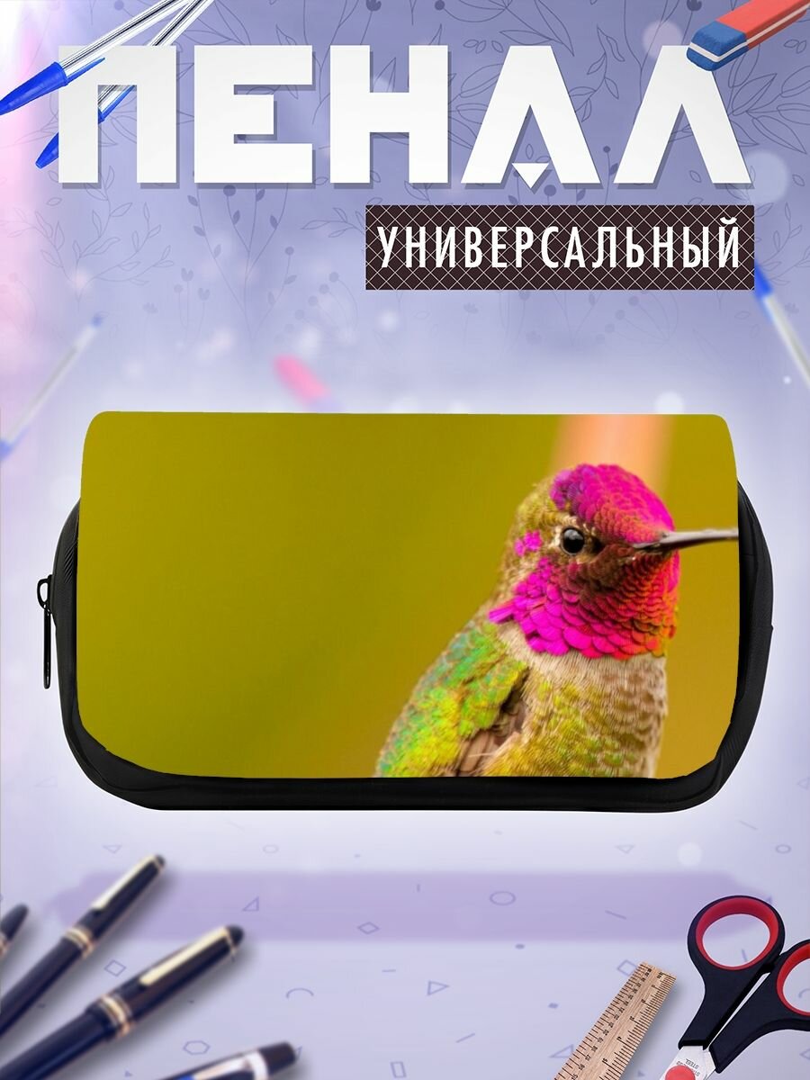 Школьный пенал птица Колибри