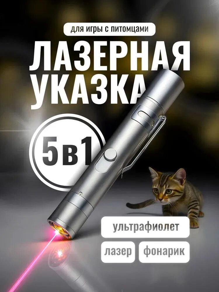 Лазерная указка 5в1 для животных, игрушка-дразнилка для кошки с фонариком и ультрафиолетом, со встроенной зарядкой USB