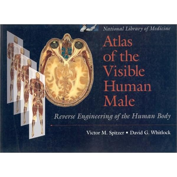 Atlas of the Visible Human Male: Reverse Engineering of the Human Body，Reprinted paperback book