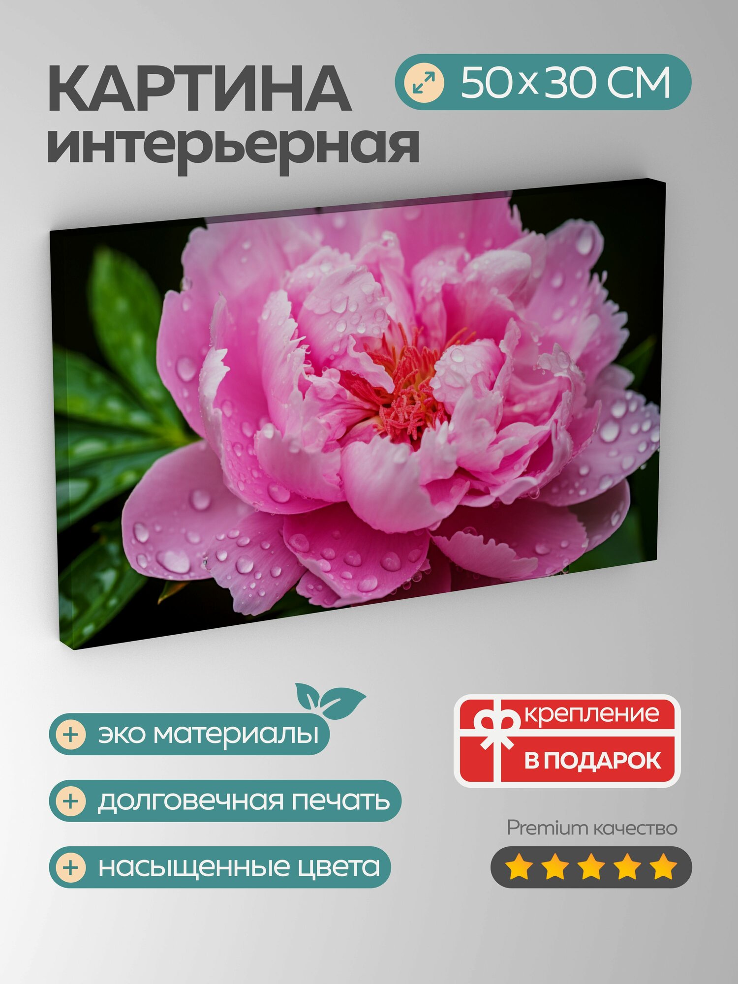 Картина на холсте интерьерная 50х30 см, розовый пион, крупный план, капельки росы, блестящие лепестки, нежная природа