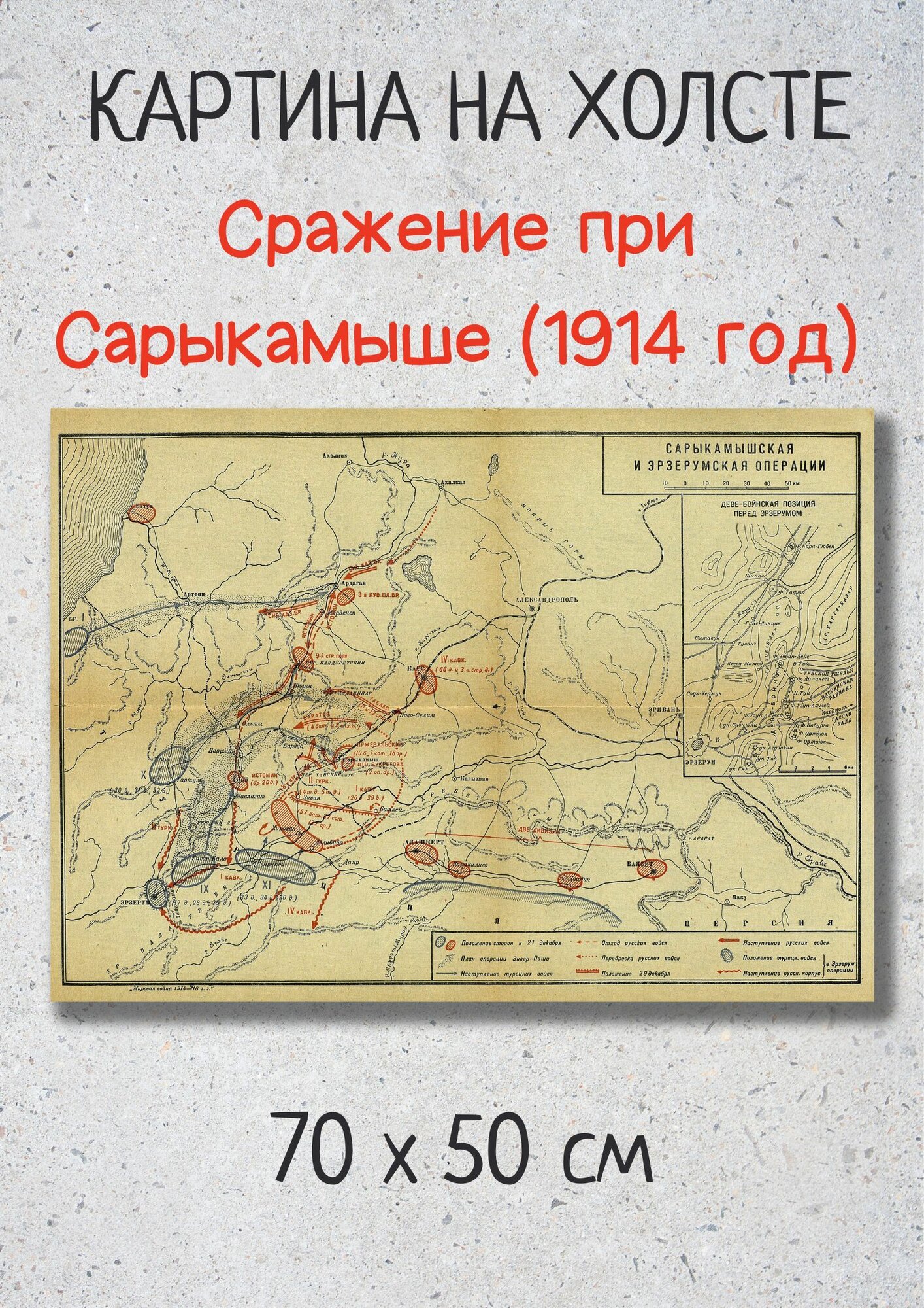 Картина с исторической схемой "Сражение при Сарыкамыше 1914 год" 70х50 см