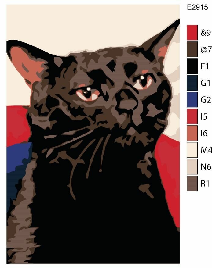 Детская картина по номерам E2915 "Коты-Мемы. Черный кот на фоне флага" 20x30