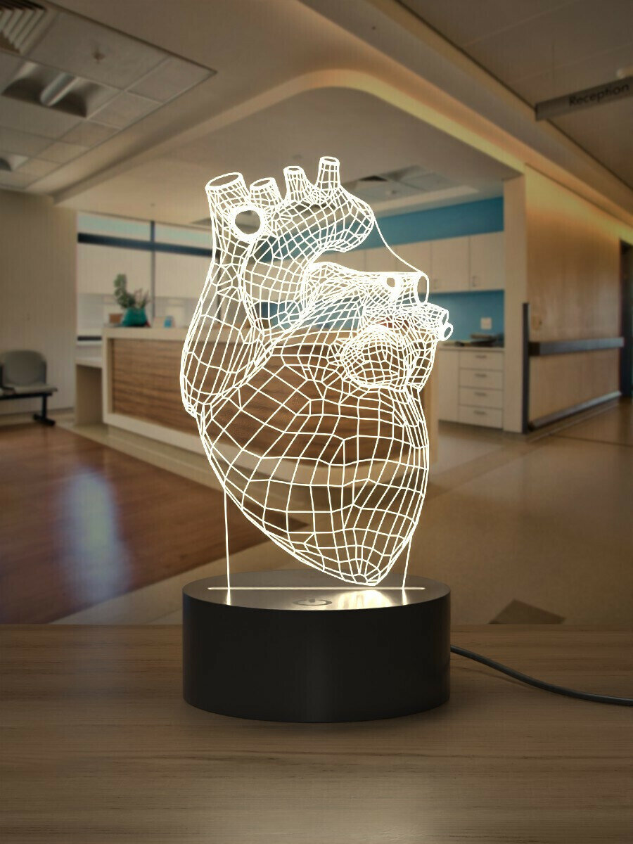 Ночник 3D Сердце анатомическое / Подарок кардиологу врачу хирургу мужчине / подставка световая декор в клинику 3д