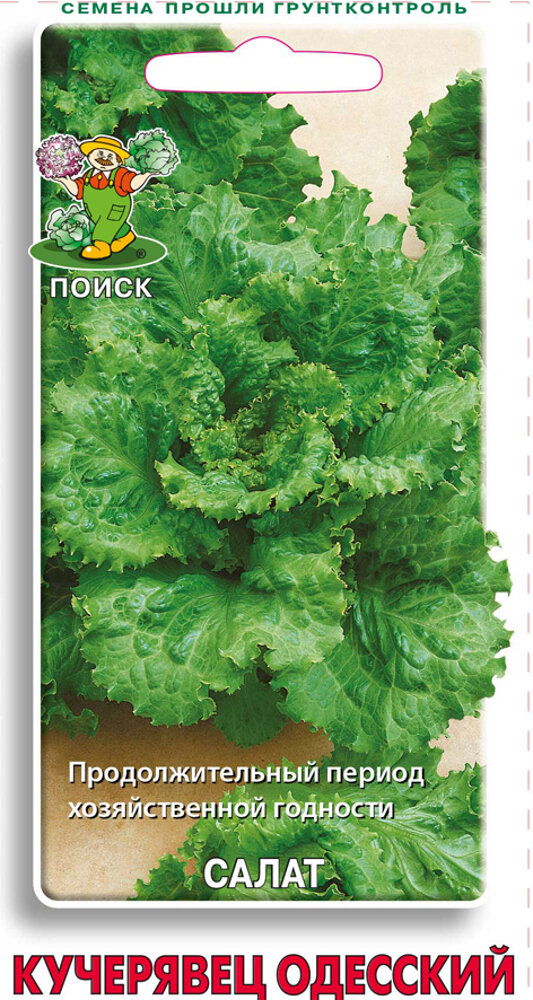 Семена Салат «Кучерявец Одесский», (4 упак.)