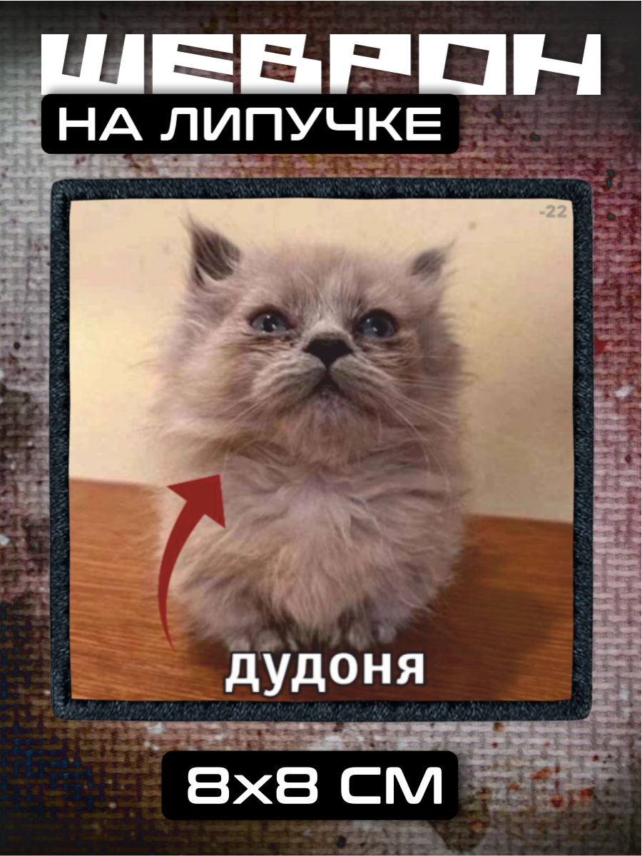 Шеврон на липучке Котенок мем