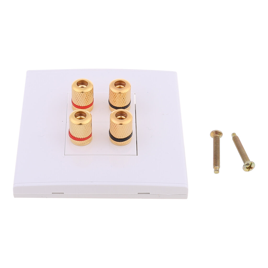 Настенная панель для подключения колонок