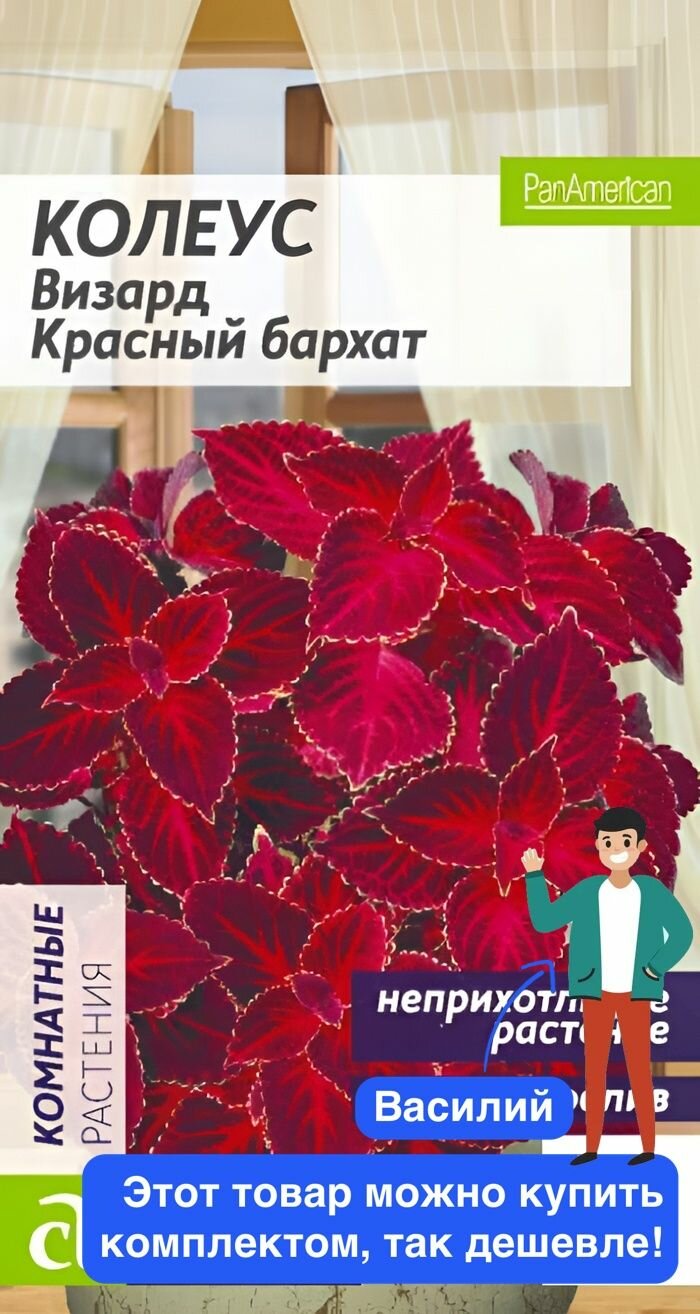 Семена цветов Семена Алтая "Колеус Визард Красный бархат", 5 шт.