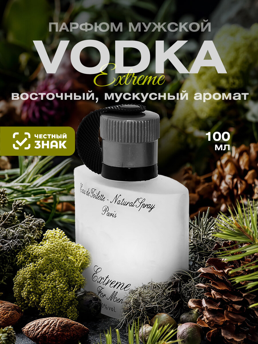 Paris Line Parfums Туалетная вода мужская Vodka Extreme Perfume 100мл