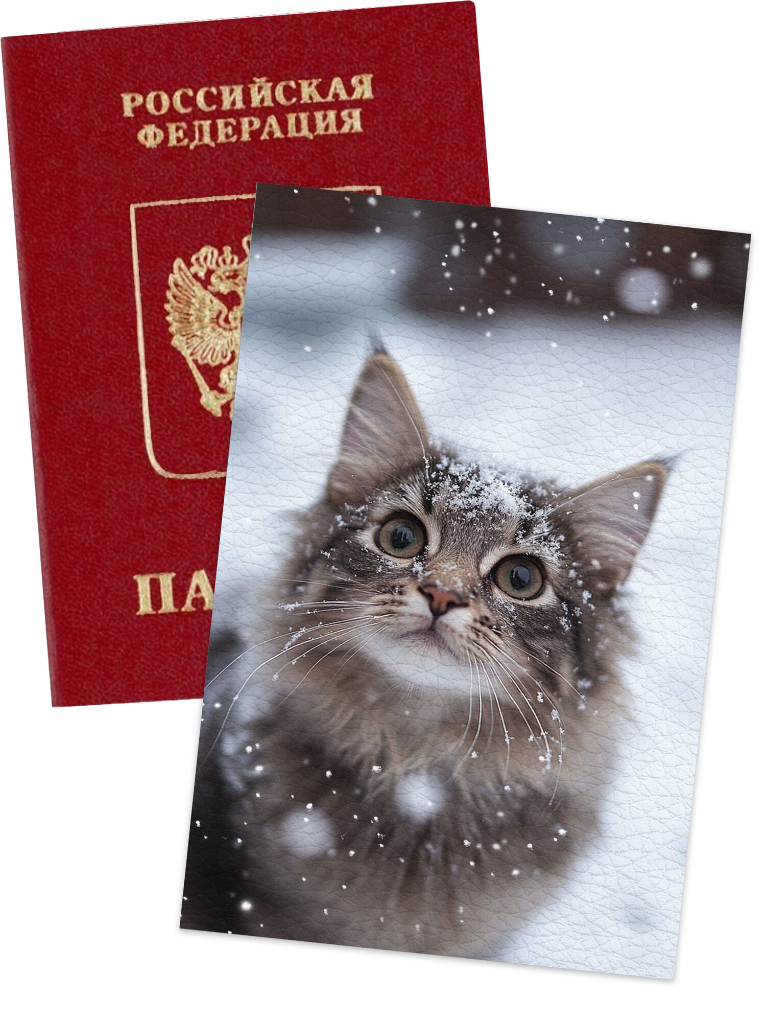 Обложка для паспорта