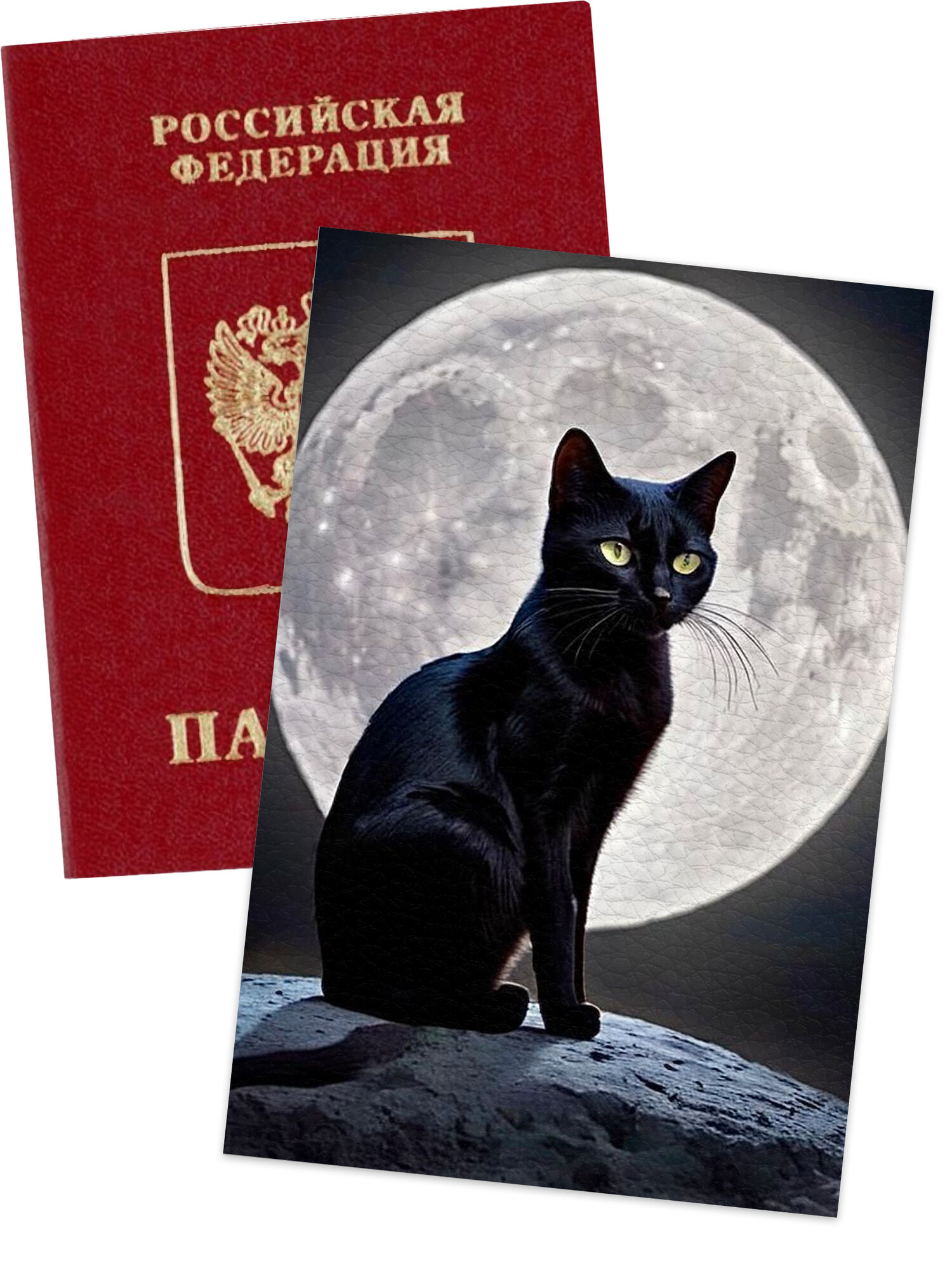 Обложка для паспорта