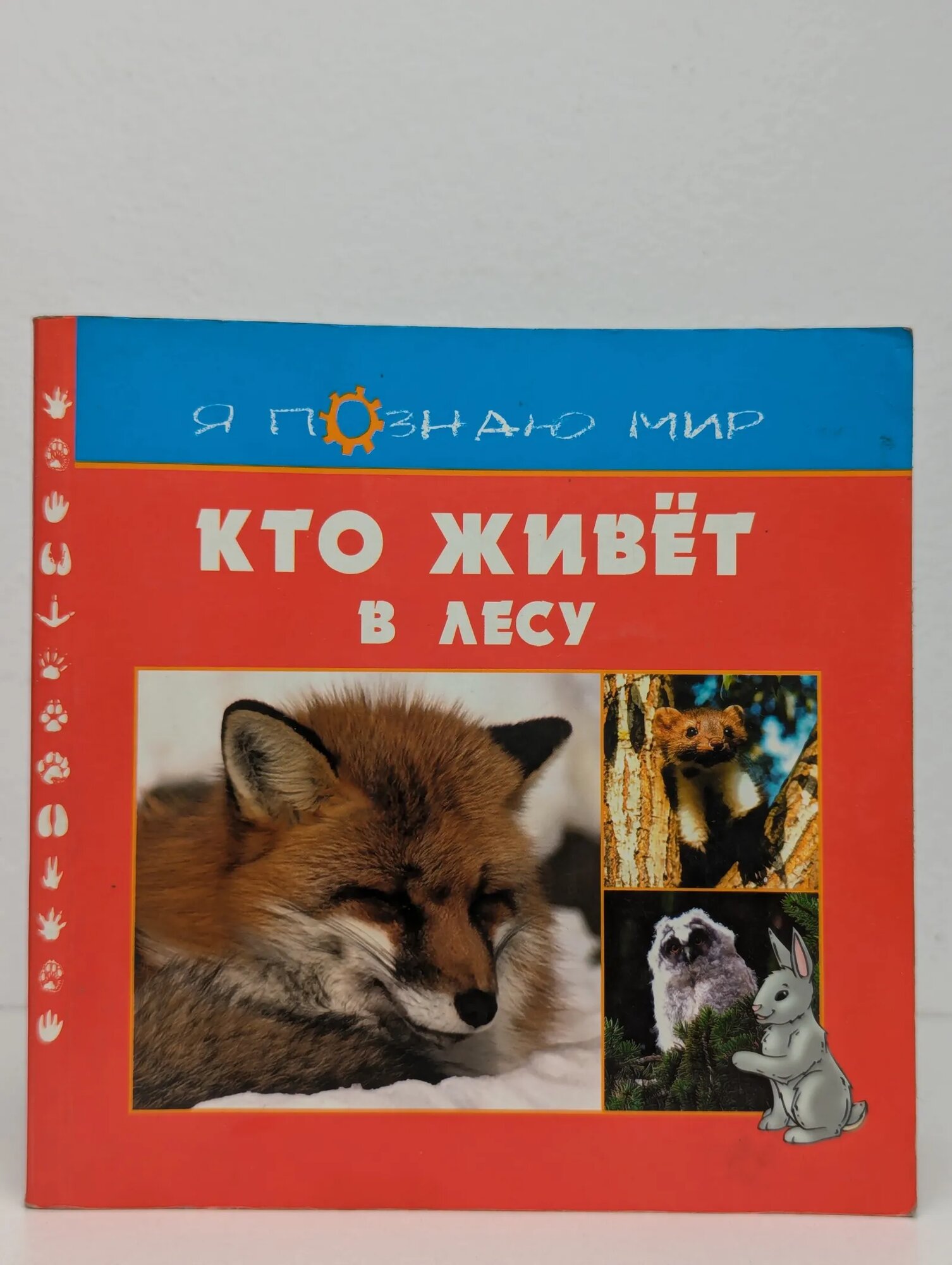 Кто живёт в лесу Хоффман Гудрун 2008