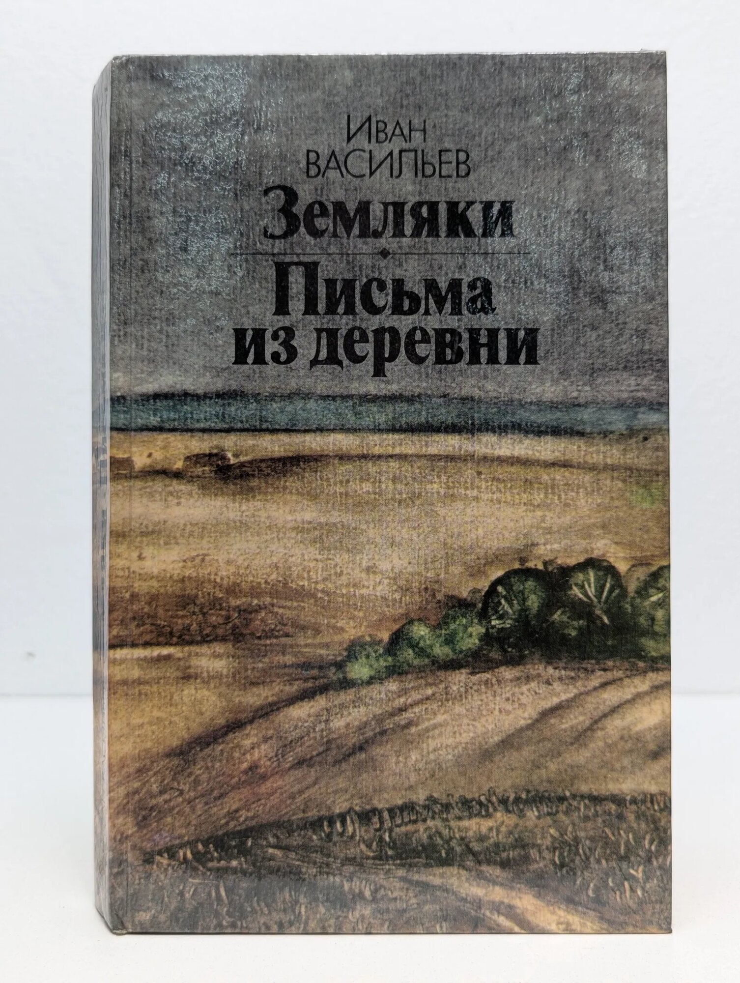 Земляки. Письма из деревни Васильев Иван Афанасьевич 1985