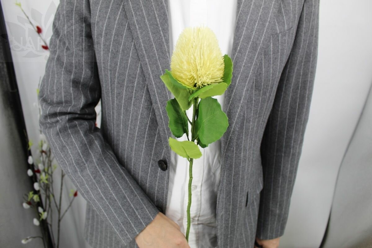 Искусственные цветы премиум для декора и интерьера Банксия белая 55 см 2 ветки