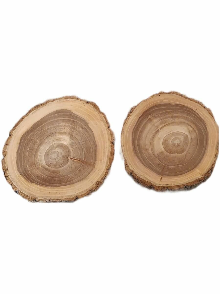 Спилы дерева Карагач. Для творчества и рукоделия.