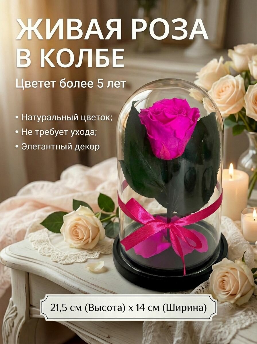 Стабилизированные цветы в стекле, Роза в колбе живая Glamur фуксия , GIFT4YOU