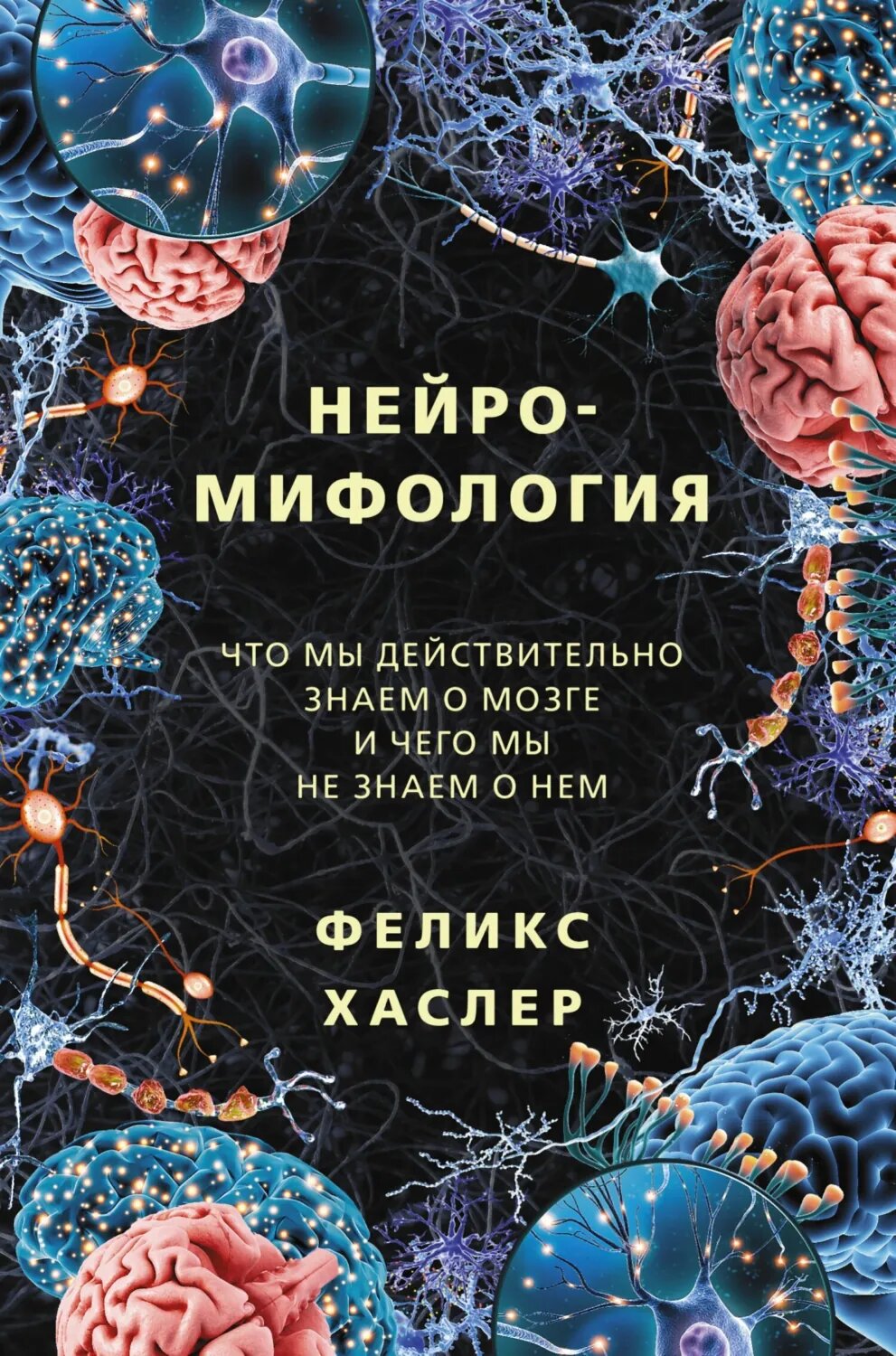Нейромифология. Что мы действительно знаем о мозге и чего мы не знаем о нем [Цифровая книга]