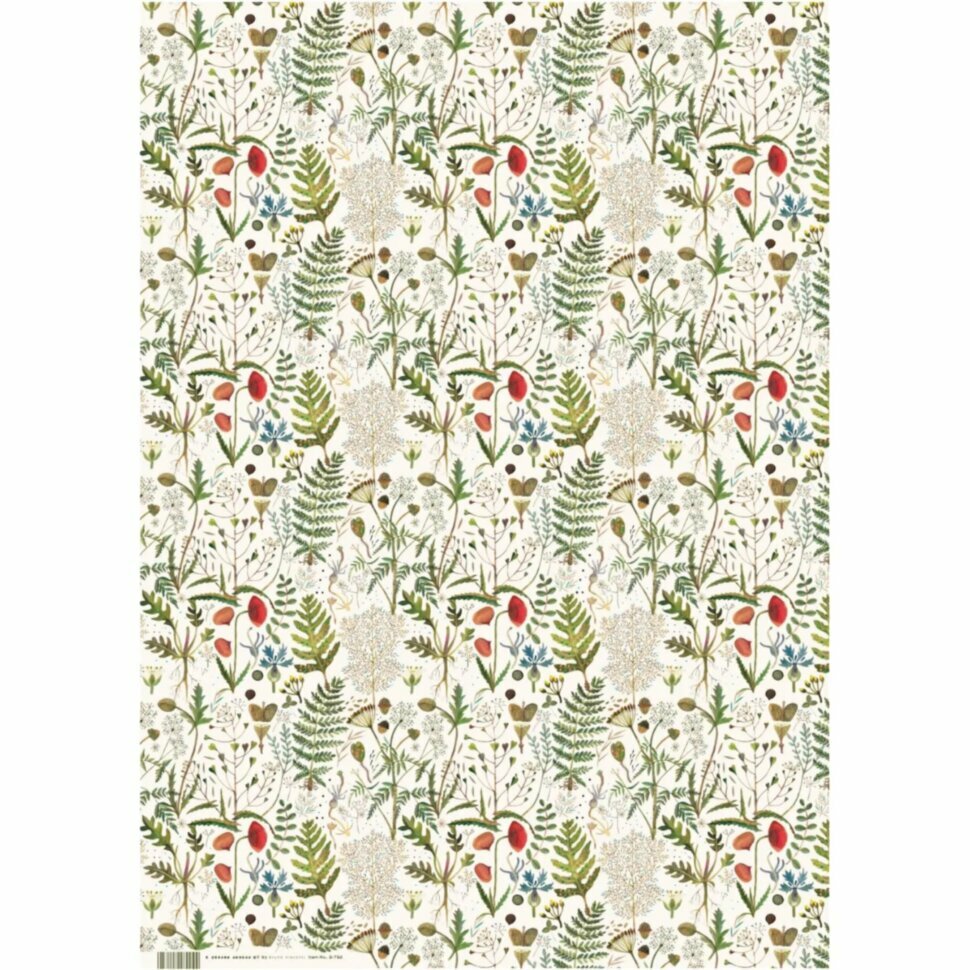 Бумага упаковочная FLORA. Луговые травы, 50 х 70 см (4 листа) 2-794/01, 2458808