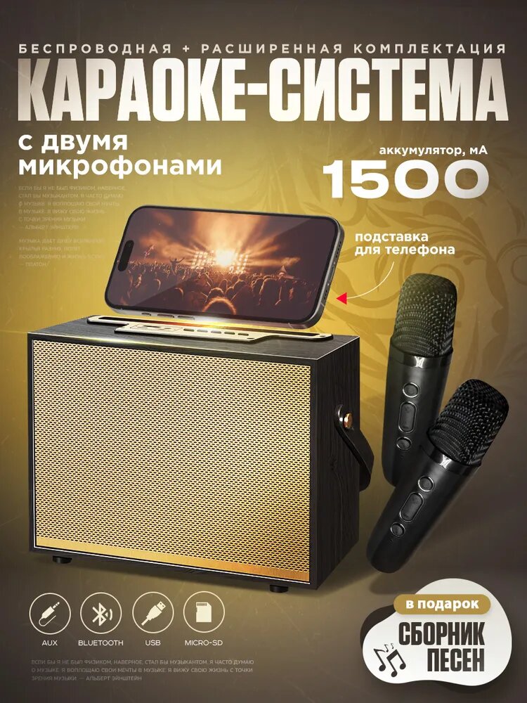 Караоке система Vita Musica с двумя беспроводными микрофонами