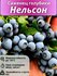 Саженец голубики Нельсон