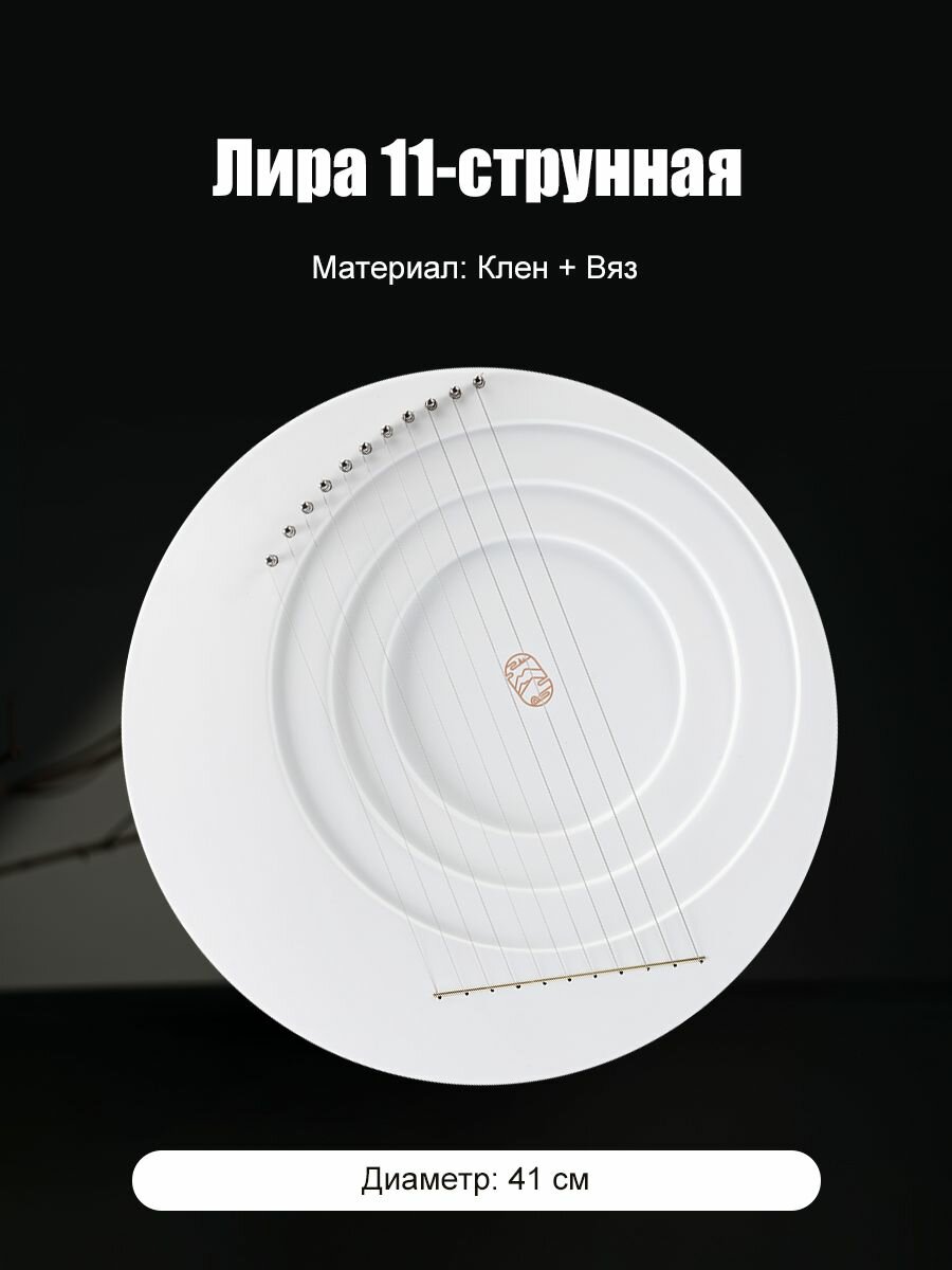 Струнный инструмент