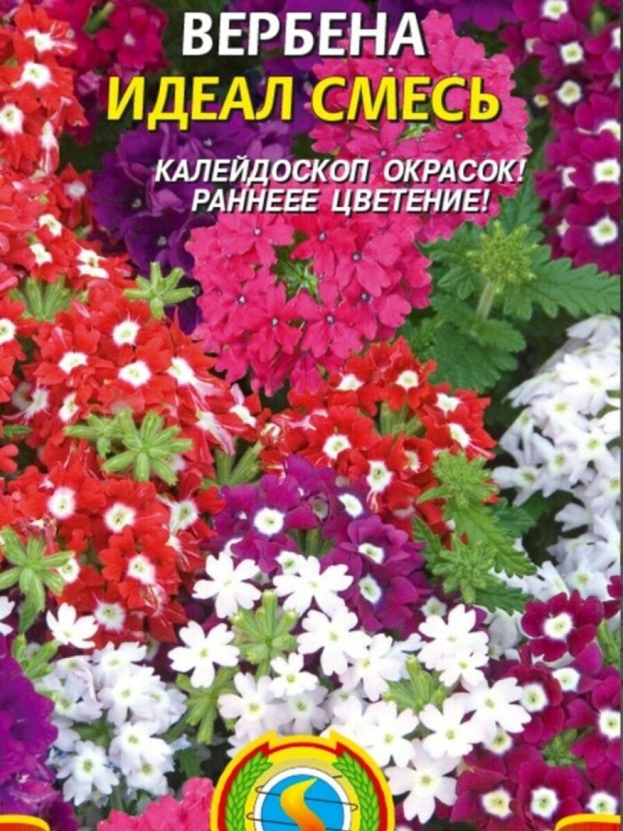 Вербена Идеал смесь 0,1 г, Плазменные семена