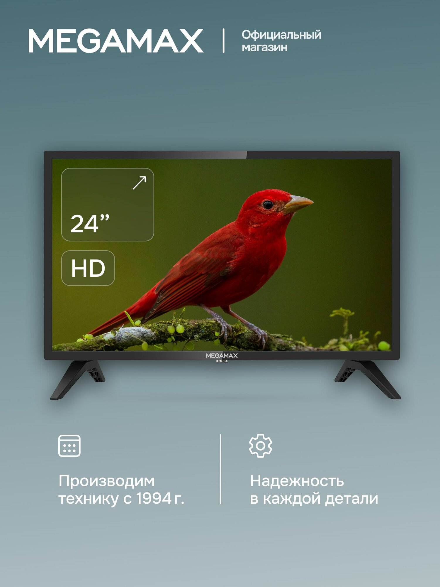 Телевизор MEGAMAX 24MG11H, Черный