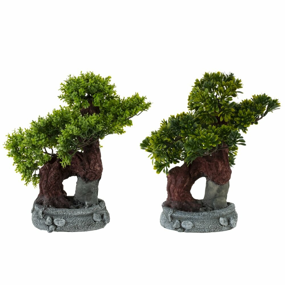 Цветочная композиция "Бонсай", L23 W21 H28 см, 2в.