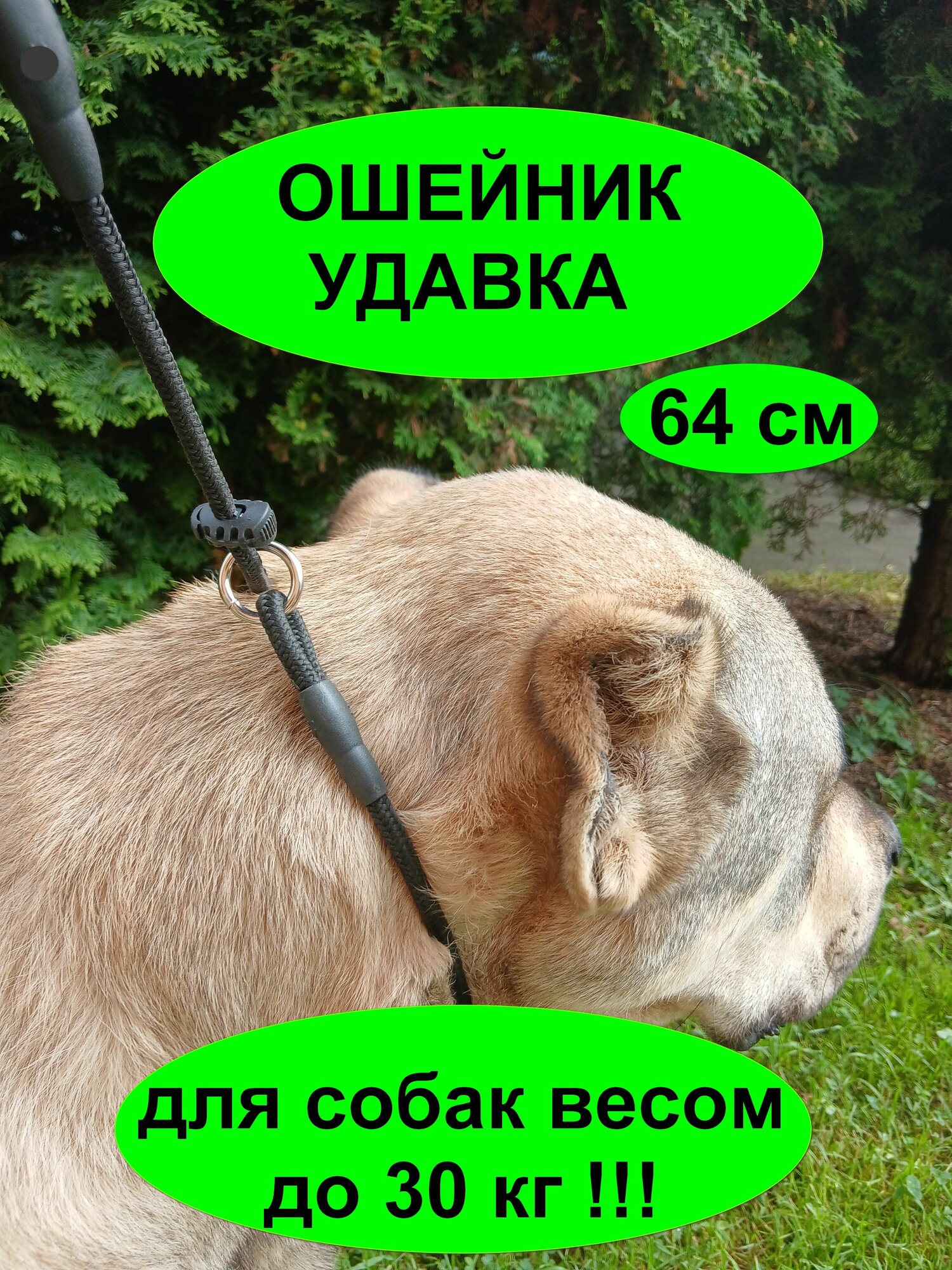 Ошейник удавка. Для собак весом до 40 кг. Для собак средних пород. Для собак маленьких пород. Крепится к любому поводку.