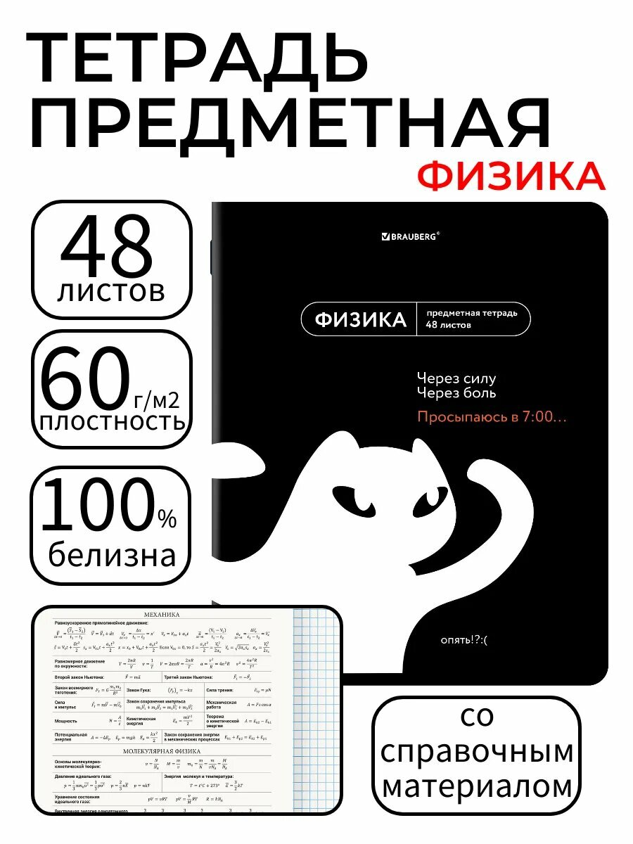 Тетрадь предметная BRAUBERG "Физика", формат A5, клетка, 48 листов
