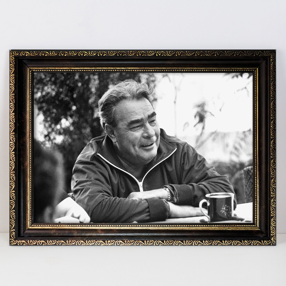 Портрет Брежнева Л. И. в багетной темно-коричневой рамке / А-3 (30x40 см.)