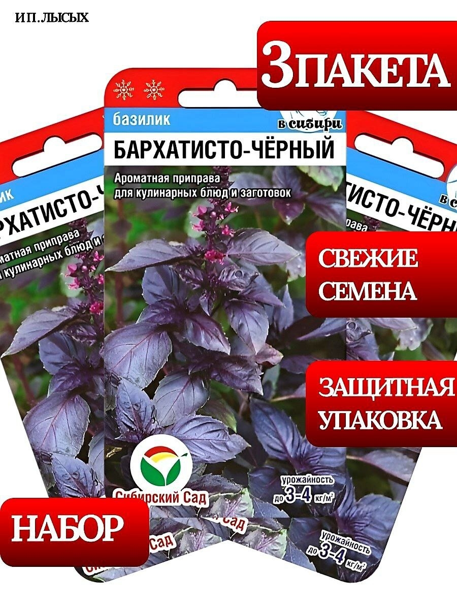 Семена Базилик "Бархатисто-Черный"