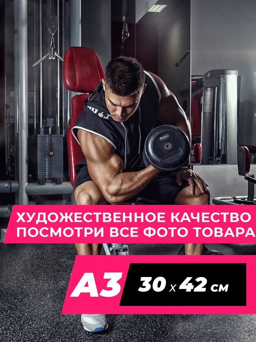 Постер бодибилдинг на стену 3 размер A3, матовая фотобумага премиум качества
