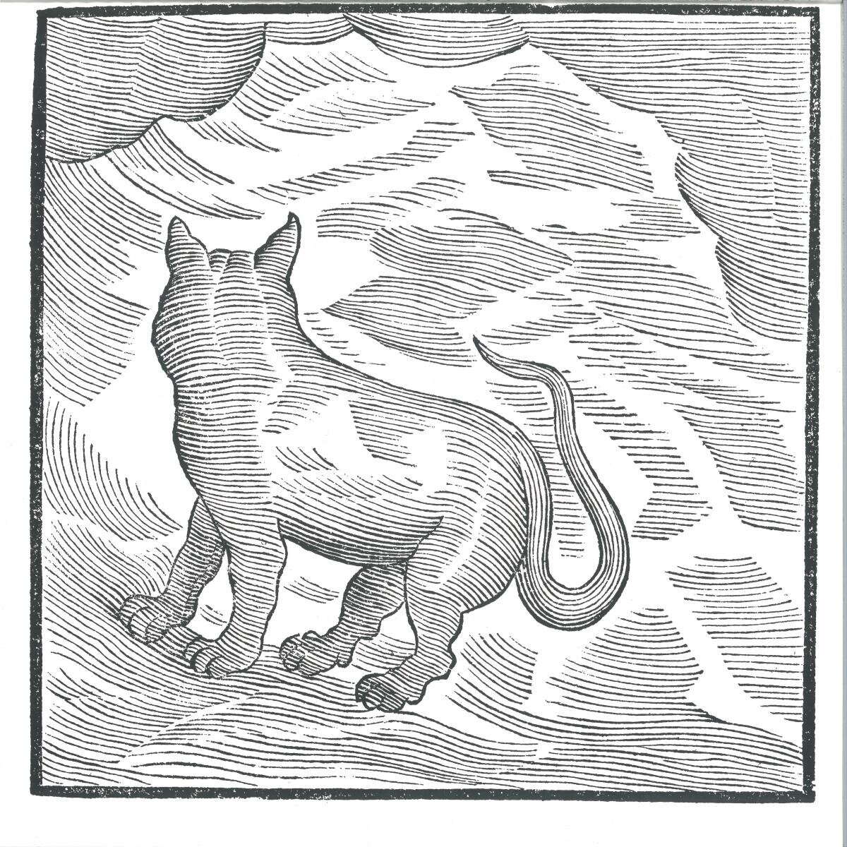 Пластинка VALENTINA MAGALETTI - KANSAI BRUISES