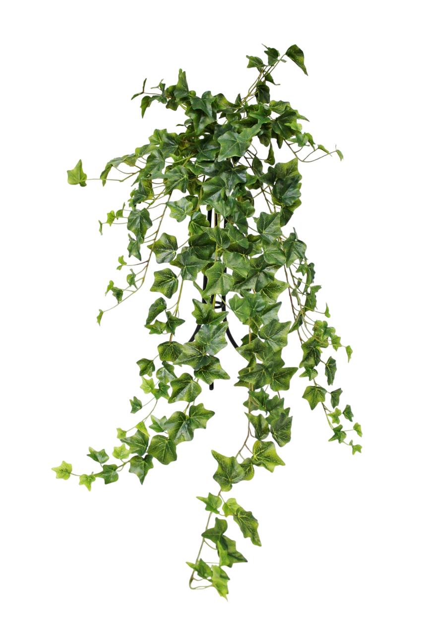 Ампельный английский плющ, 100 см, бренд CONEKO - декор для дома и офиса