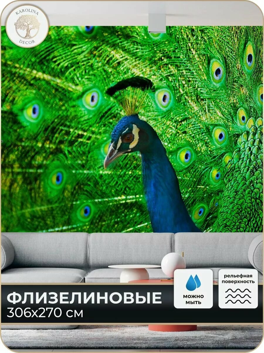 Фотообои 3D "Павлин" 300х270