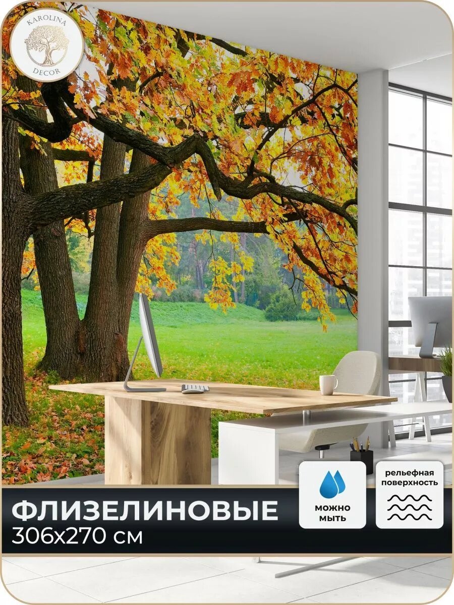 Фотообои Осенний Лес в детскую в спальню на кухню 300х270