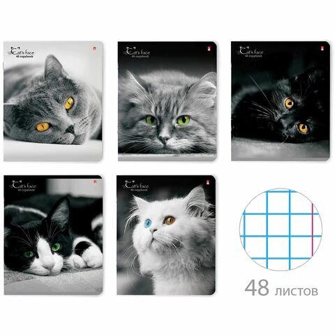 Тетрадь А5 48 л. 10шт. Альт "Яркий Взгляд" (5 видов),