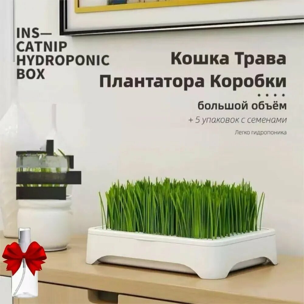 Коробка для посадки кошачьей травы