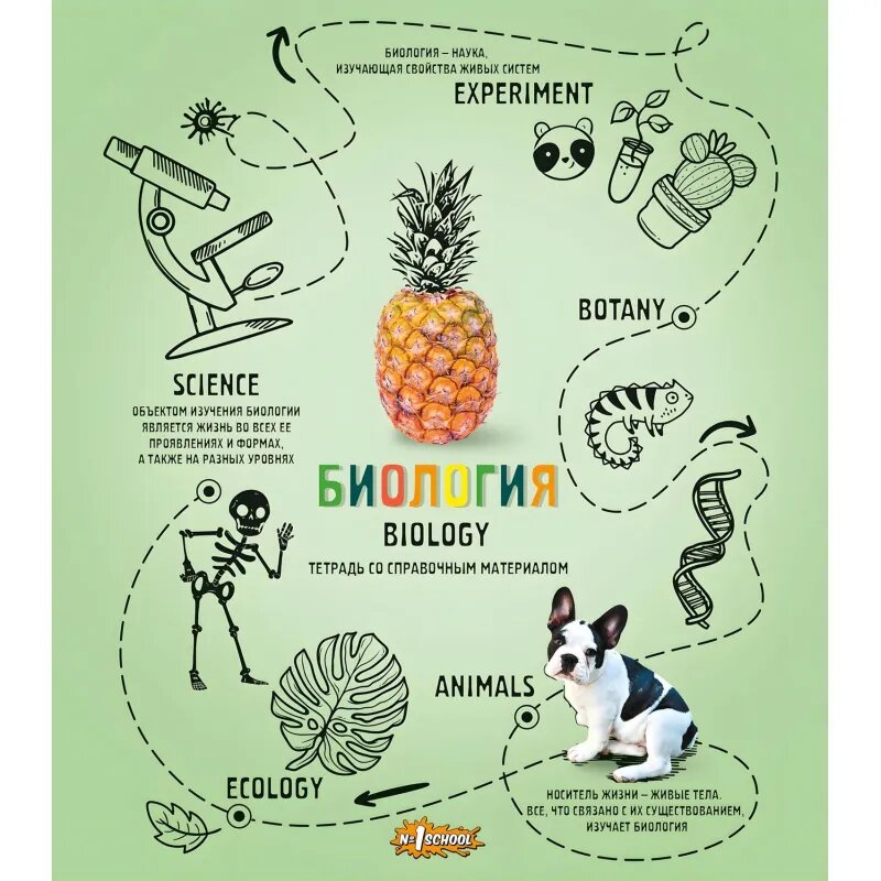 Тетрадь предметная Ребус 48л А5, клетка биология, 73850