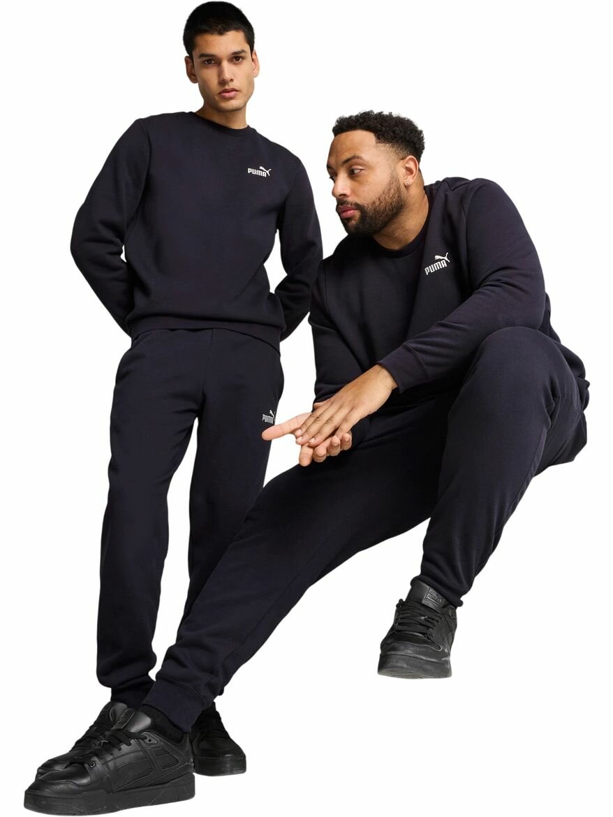 Брюки спортивные PUMA Essentials No. 1 Logo Men's Sweatpants Fleece