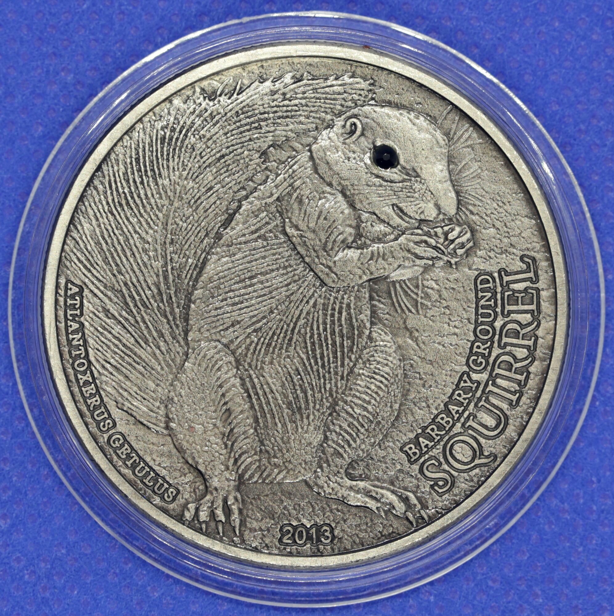 Монета 500 тугриков 2013 Белка Монголия Фауна Цветные глаза. Копия монеты