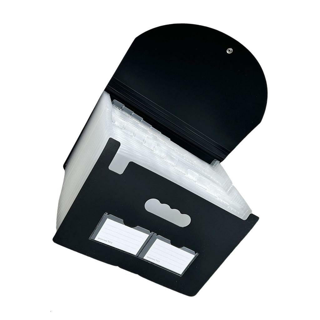 Папка-аккордеон с карманами А4, Черный прозрачный в - 25 сеток и 6 линий