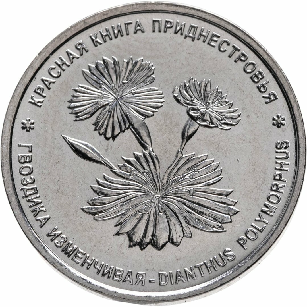 Приднестровье 1 рубль 2025 2026 "Красная книга Приднестровья - Гвоздика изменчивая", Сталь с никелевым покрытием, в сохранности UNC