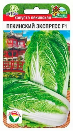 Капуста пекинская Пекинский экспресс - ультраранняя , компактная. Сибирский Сад